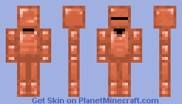 Copper knight Minecraft Skin