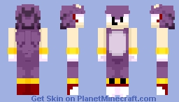 D-Side Sonic Minecraft Skin
