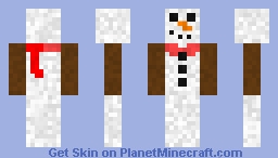 Snowman Minecraft Skin