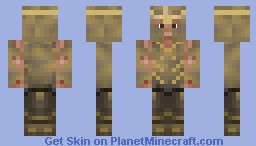 Statius armoured guy. Minecraft Skin