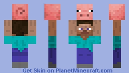 Steve holding a pig Minecraft Skin