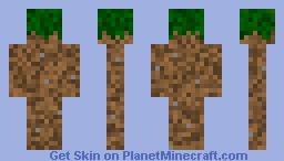 grass block skin Minecraft Skin
