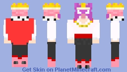 Technoblade Minecraft Skins | Planet Minecraft Community
