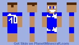 fff france foot Minecraft Skin