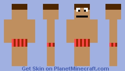 PMC Skin Minecraft Skin