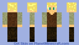 Medieval boy Minecraft Skin