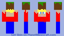 blockhead Minecraft Skin
