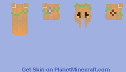 head base :} Minecraft Skin