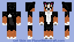 bernese mountain dog Minecraft Skin
