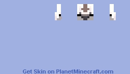 appa head Minecraft Skin