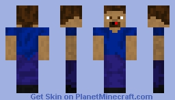 A Minecraft Genius's Minecraft Skin