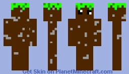 grass block Minecraft Skin