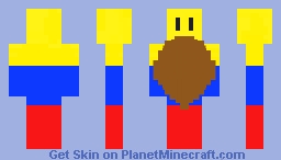 Flag of Ecuador Minecraft Skin