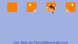 Head Minecraft Skin