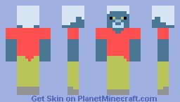 inverted simple steve Minecraft Skin