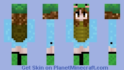 Turtle Minecraft Skin