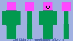 H Minecraft Skin
