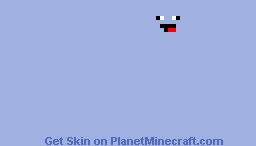 Invisible Minecraft Skin