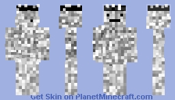 stone ninja Minecraft Skin