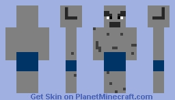 Chest Robber Minecraft Skin