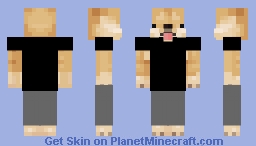 doge with clothe Minecraft Skin