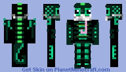 Safety Lizard Minecraft Skin