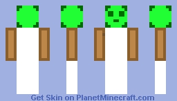 Slime w/ boots Minecraft Skin