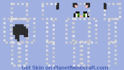 The invisible cat Minecraft Skin
