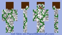 Mossy Diorite Man Minecraft Skin