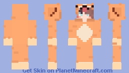 corgii Minecraft Skin