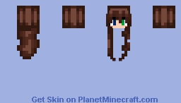 Just the hair Minecraft Skin