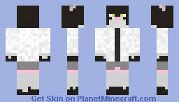 Cat Person Minecraft Skin
