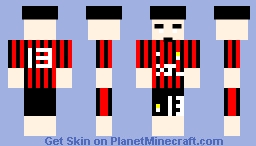 FC서울 Minecraft Skin
