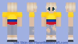 Colombian Flag Minecraft Skin