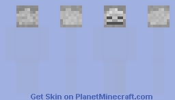 Invisible Skeleton Minecraft Skin