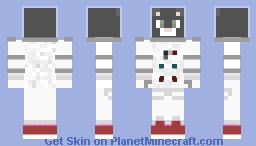 Astronaut Cat Minecraft Skin