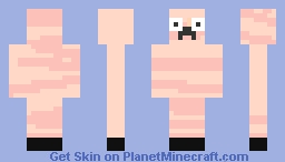 Pluto Minecraft Skin