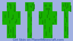 rrrt Minecraft Skin