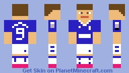 Everton 2.0 Minecraft Skin