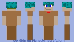 No Minecraft Skin
