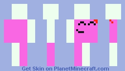 pi Minecraft Skin