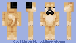 MR.Doge Minecraft Skin