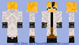 Skin V.3 Minecraft Skin