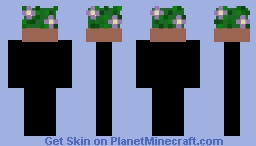 remake:) (flower bush!) Minecraft Skin
