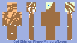 diarrhea Minecraft Skin
