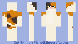 cat skin Minecraft Skin
