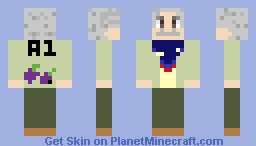 Einstein americanista Minecraft Skin