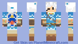 Polan Link Minecraft Skin