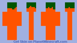 carrot Minecraft Skin
