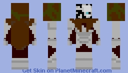 Robin Minecraft Skin